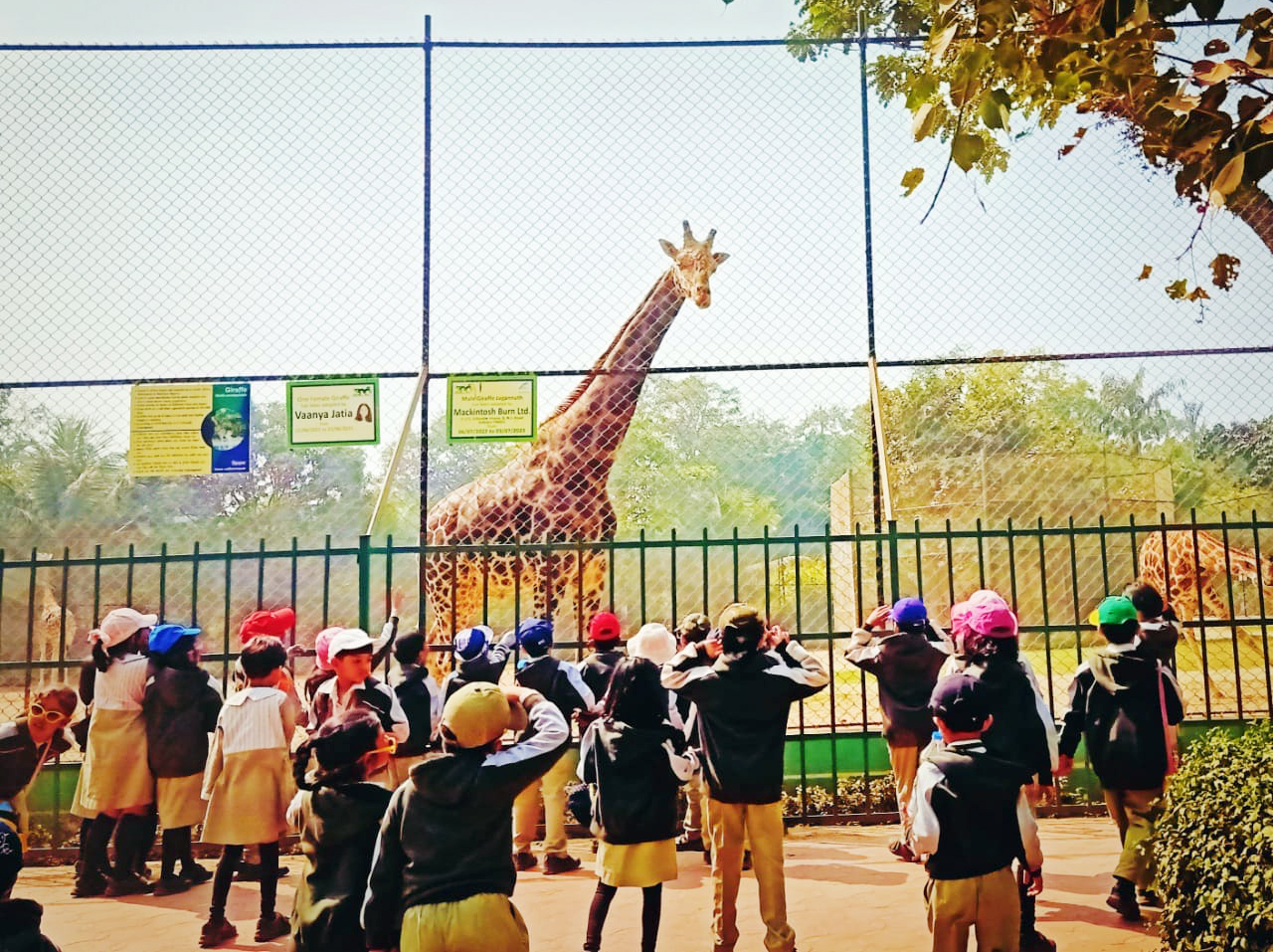 Programs – Arun Nursery School