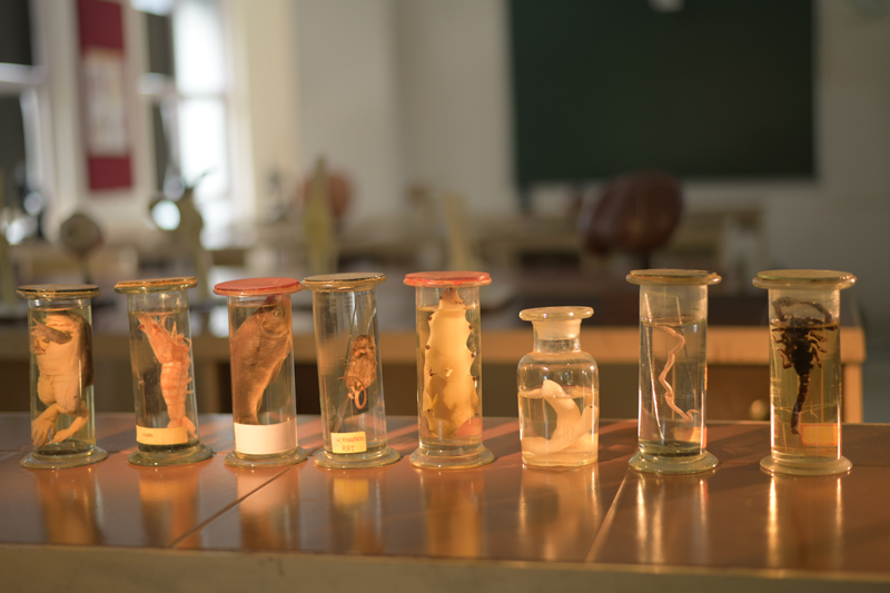 Photo Gallery – The Future Foundation School